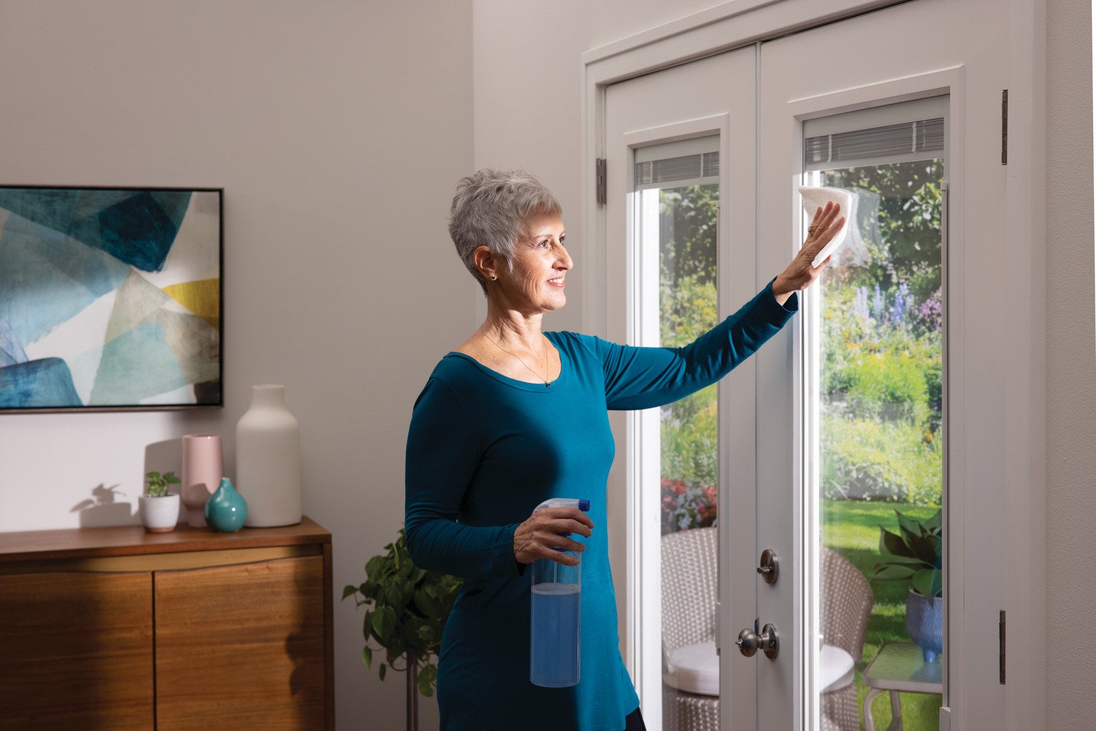 Entryway Enclosed Doorglass Blinds at ODL